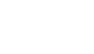 Get Support | Peerless Tech Solutions